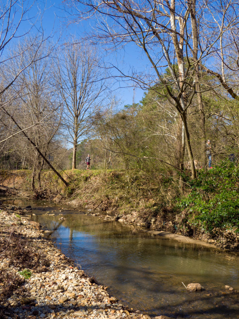Buckhead's Top 5 Natural Wanders: Winter Edition - Buckhead