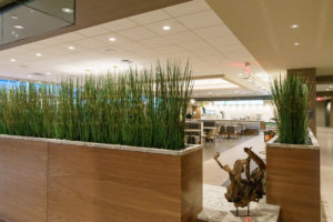 Sneak preview inside the new Life Time Athletic and Life Time Work at ...